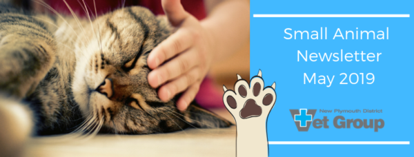 Small Animal Newsletter - May 2019 - New Plymouth Vet Group