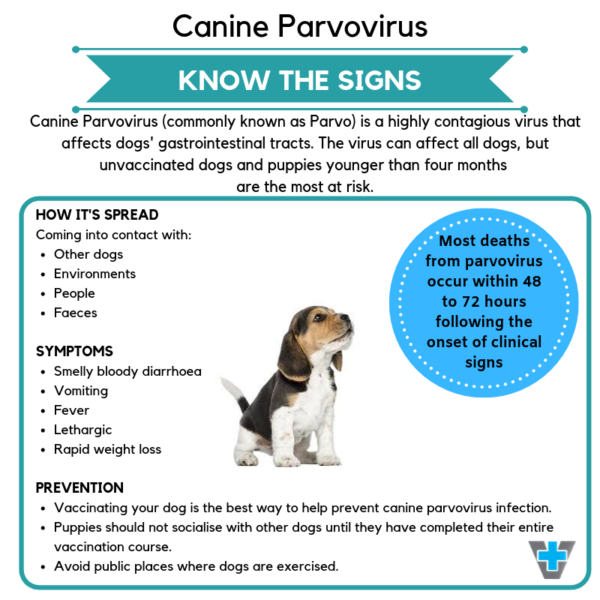 Parvo Warning - September 2019 - New Plymouth Vet Group