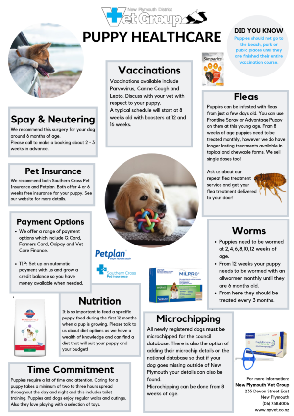 Puppy Healthcare - New Plymouth Vet Group