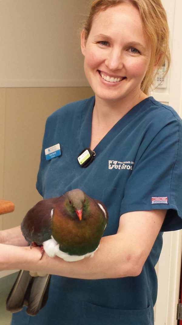 Our Pet Hospital - New Plymouth Vet Group