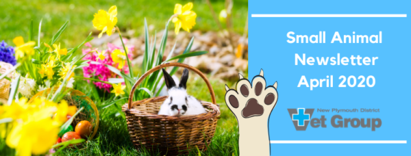 Small Animal Newsletter - April 2020 - New Plymouth Vet Group