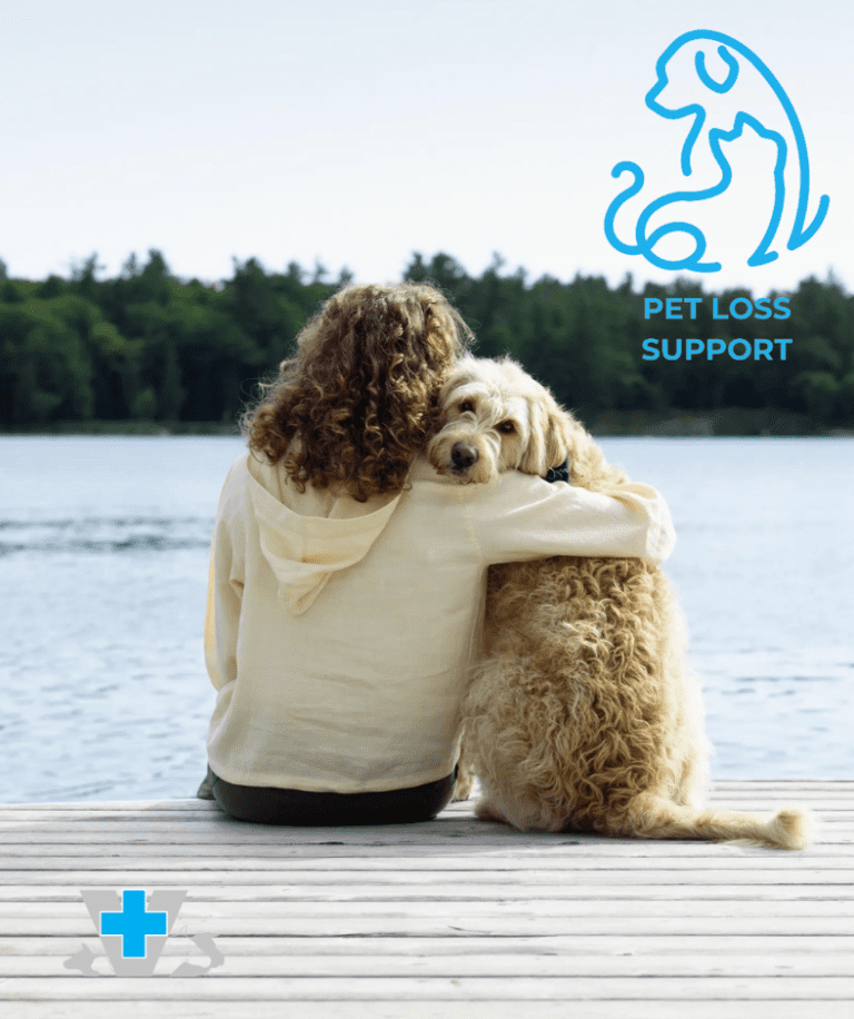 Pet Loss Support - Why is it harder to move forward after losing a pet ...
