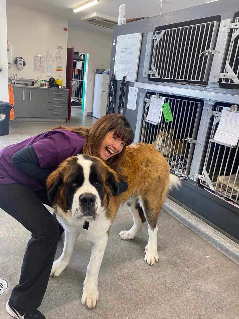 Our Pet Hospital - New Plymouth Vet Group