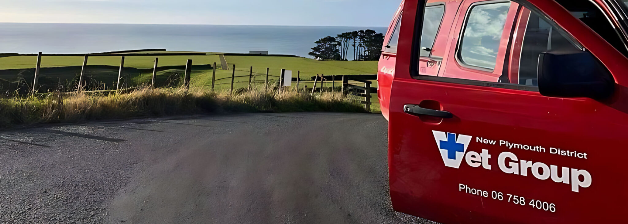 New Plymouth Vet Group - Small and Large Animal Vets